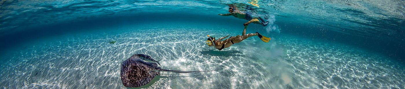 Cruise Excursions: all the available shore excursions | MSC Cruises